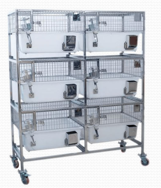 Rabbit veterinary cage - RBINT-PP-01 - Meditech Technologies India - 6 ...