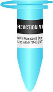 Stain reagent - VIADENT™ - Hamilton Thorne - for scientific research