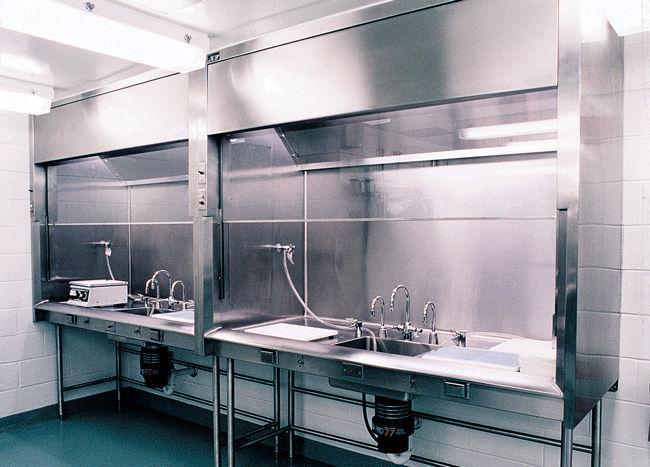 Laboratory fume hood - Germfree - floor-standing / laminar flow ...