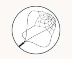 Kidney stone extraction endoscopic basket / tipless - KOBOT™ - ROCAMED