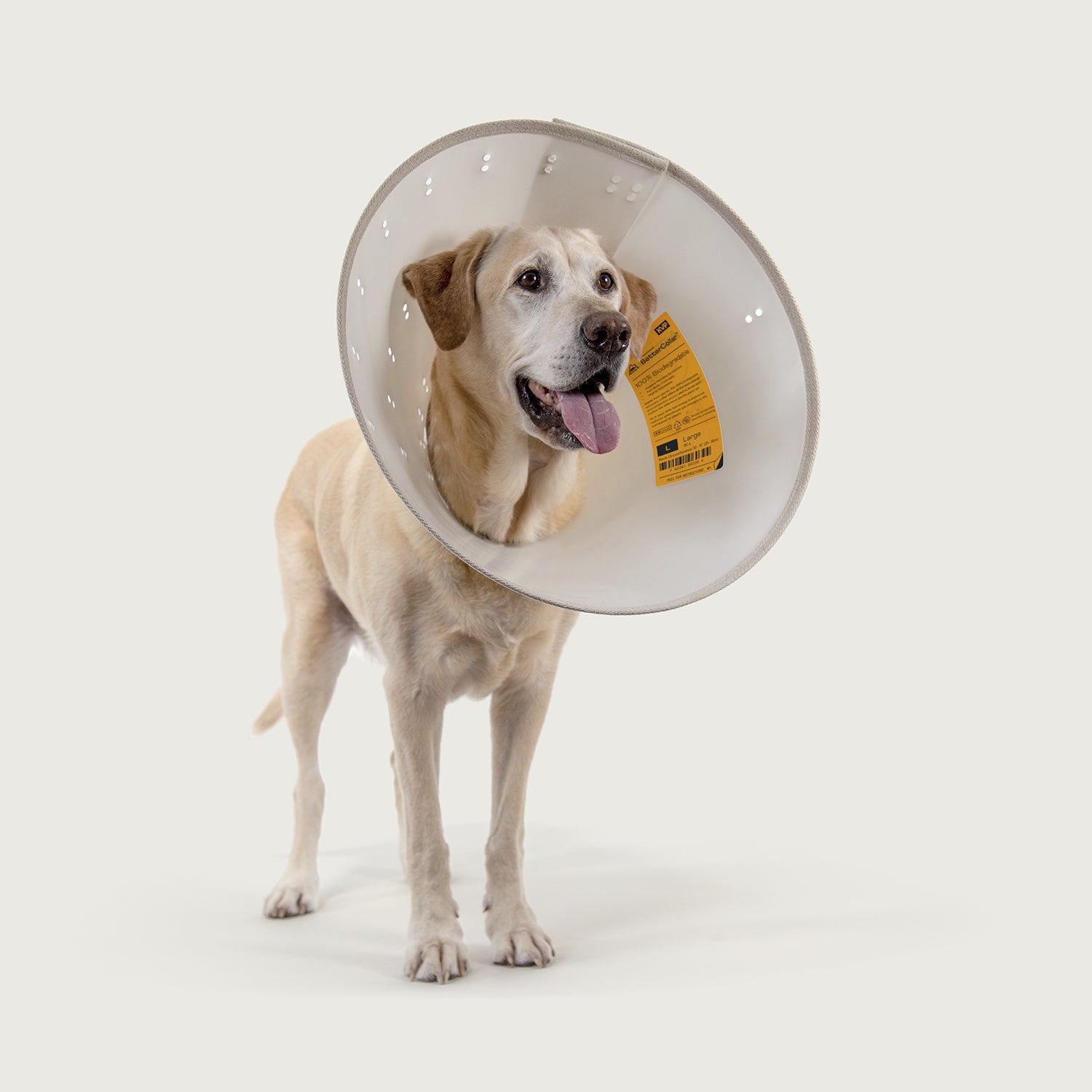 Dog veterinary collar - BetterCollars™ - KVP EU Ltd - adjustable