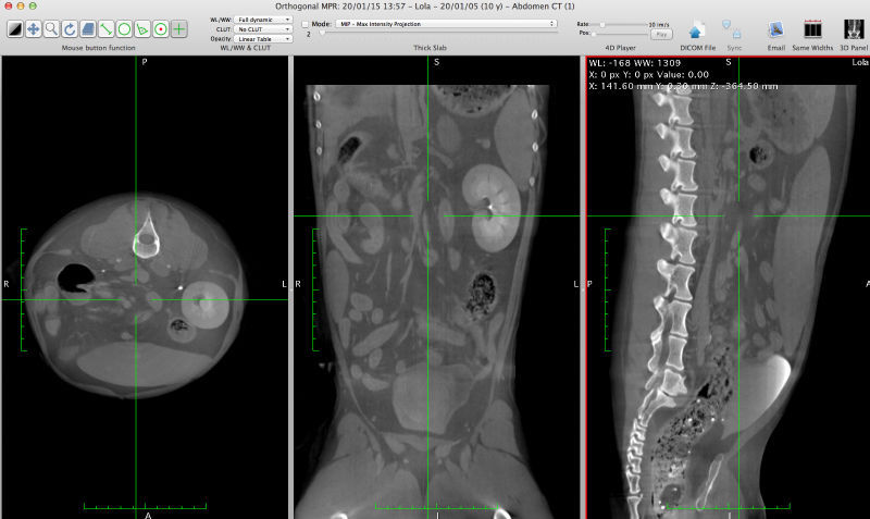 Veterinary CT scanner / for large animals / for small animals - Vimago ...