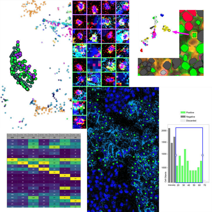 Image analysis software - Phenoplex™ - Visiopharm - visualization / import / medical