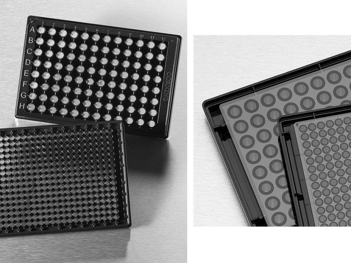Fluorescence microplate - 4518 - Corning BV - laboratory / 384-well / cell