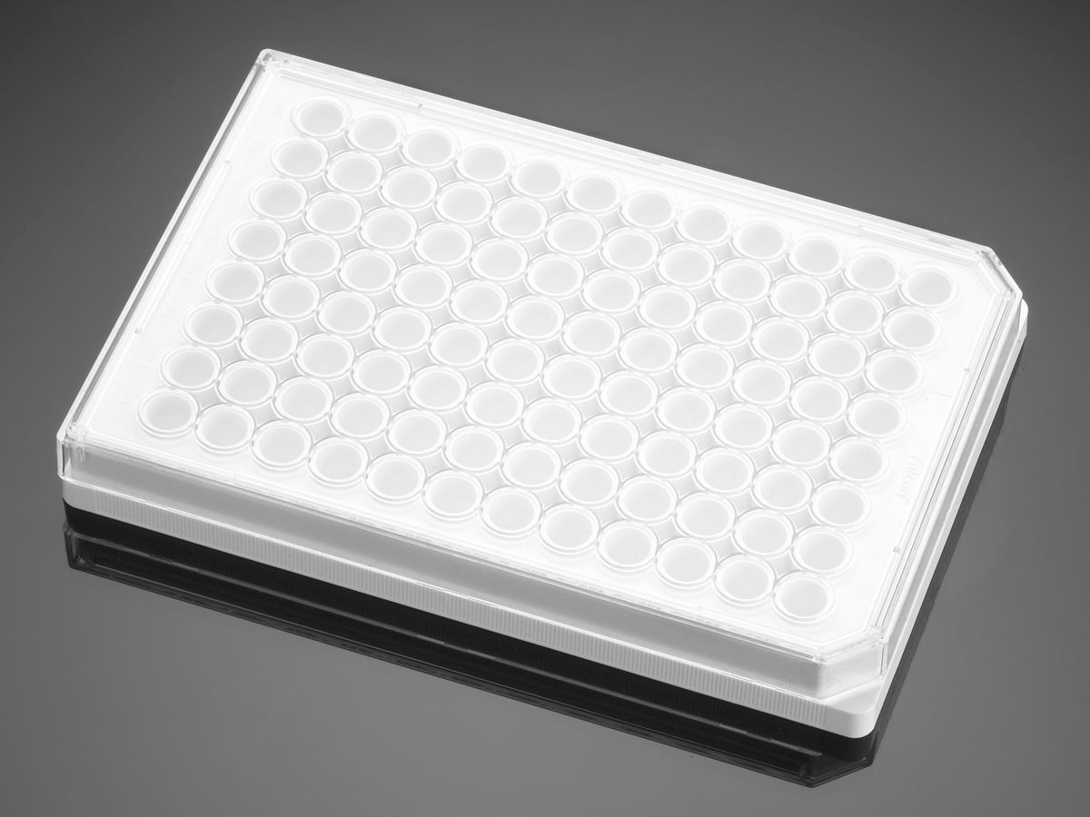 Microplate for life sciences applications - 353296 - Corning BV ...
