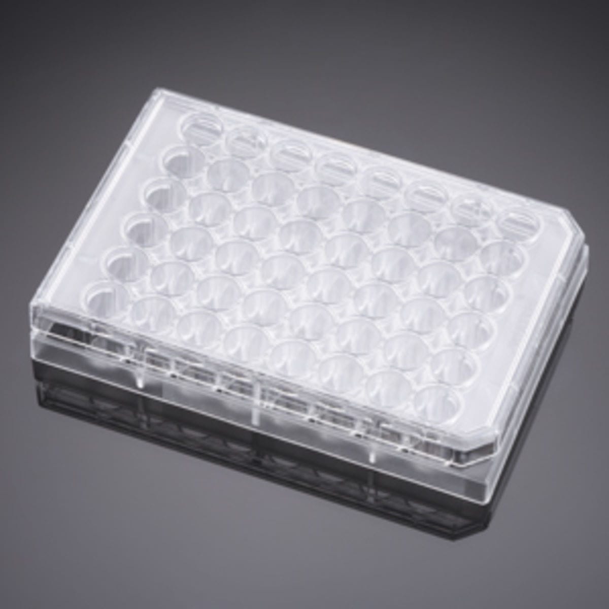 Microplate for life sciences applications - 351178 - Corning BV - for ...