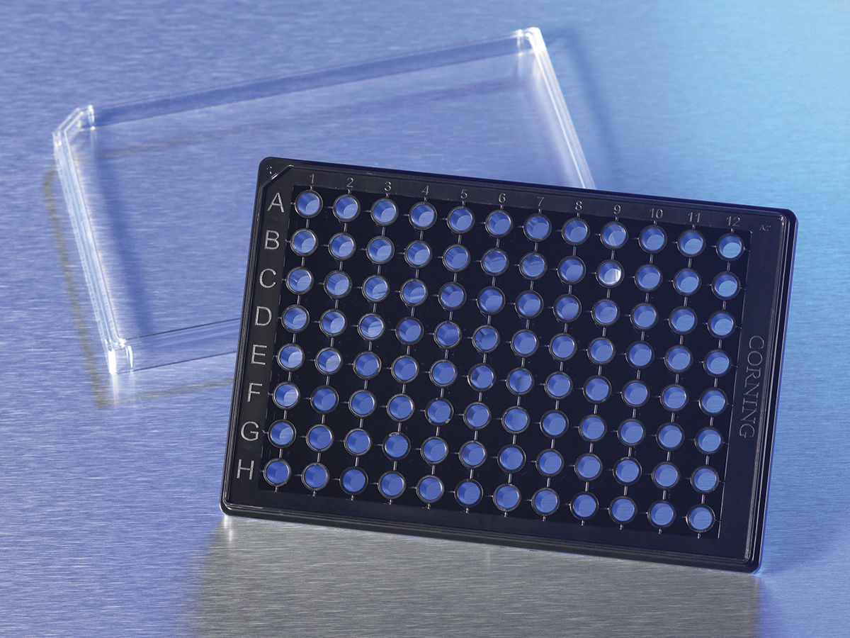 Fluorescence microplate - 4680 - Corning BV - 96-well / cell