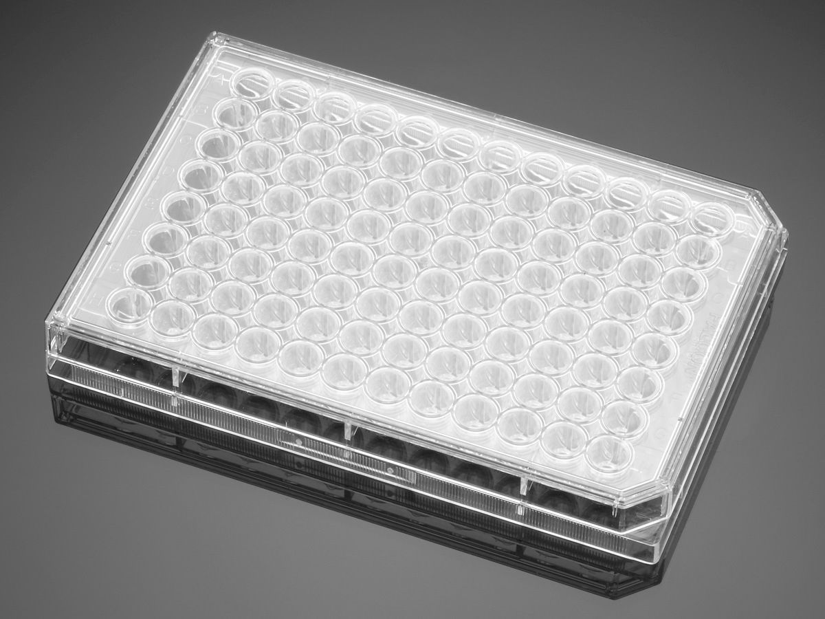 Fluorescence microplate - 351177 - Corning BV - 96-well / surface