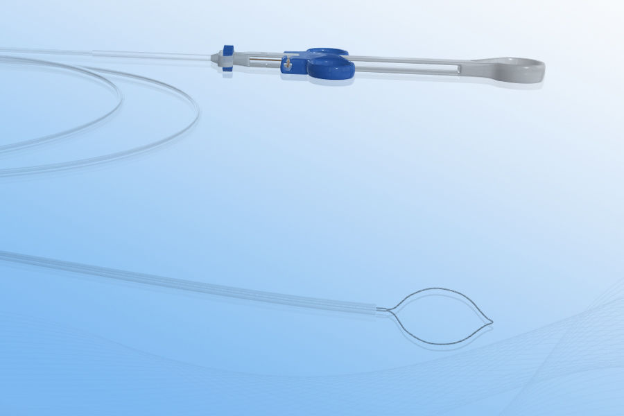 Intestinal polyp extraction endoscopic basket - L16CA241806A1 - Leo ...