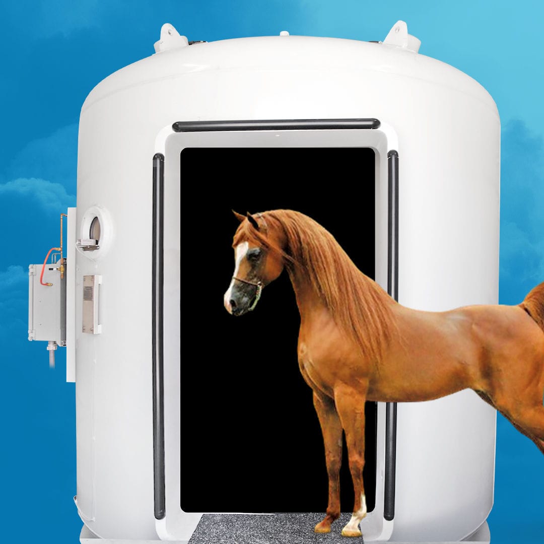 Hyperbaric Oxygen Therapy For Horses