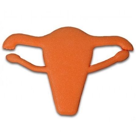 Uterus model - 3-Dmed - foam