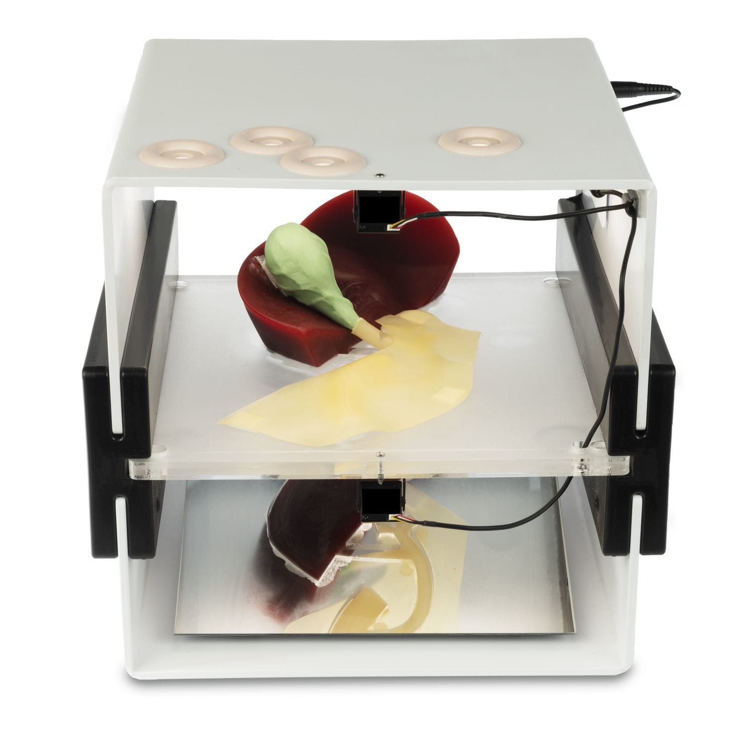 Abdominal surgery simulator - *LCBDE-Trainer - 3-Dmed - training ...