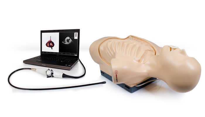 Echocardiography simulator - TEE - Inventive Medical Limited - torso ...