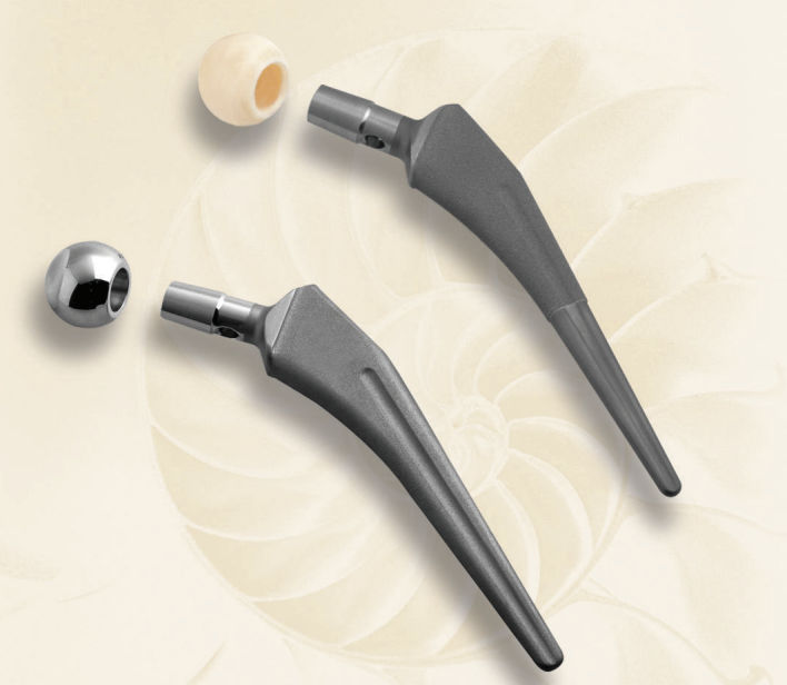 Cementless femoral stem - BA - Biotech Medical