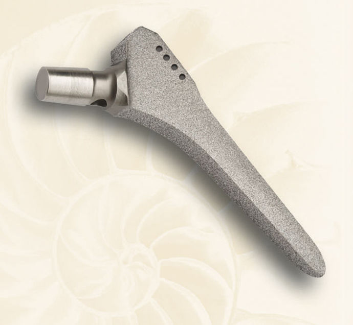 Cementless femoral stem - BQS - Biotech Medical