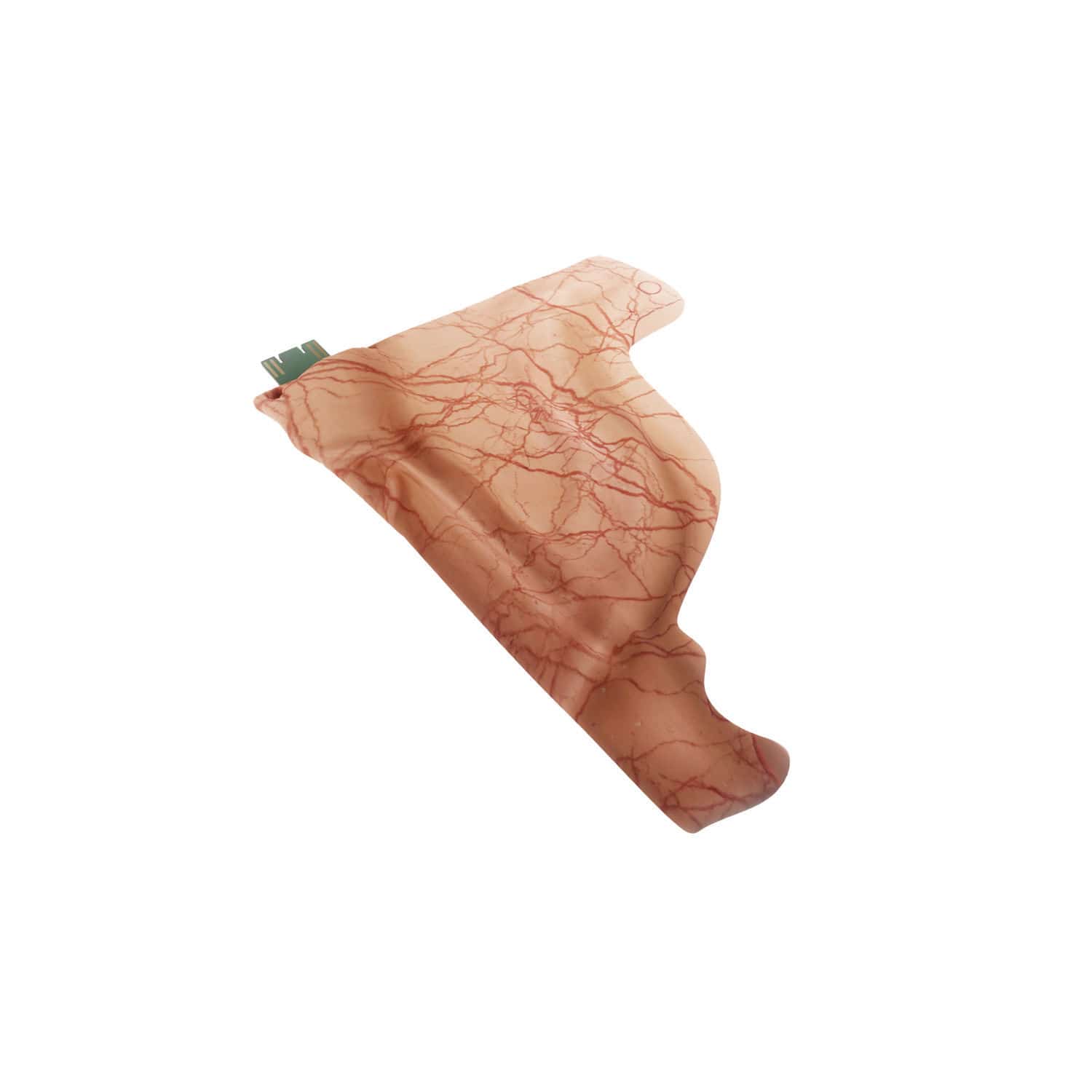 Gallbladder model - 00001553 - Inovus Medical - surgery / laparoscopy ...