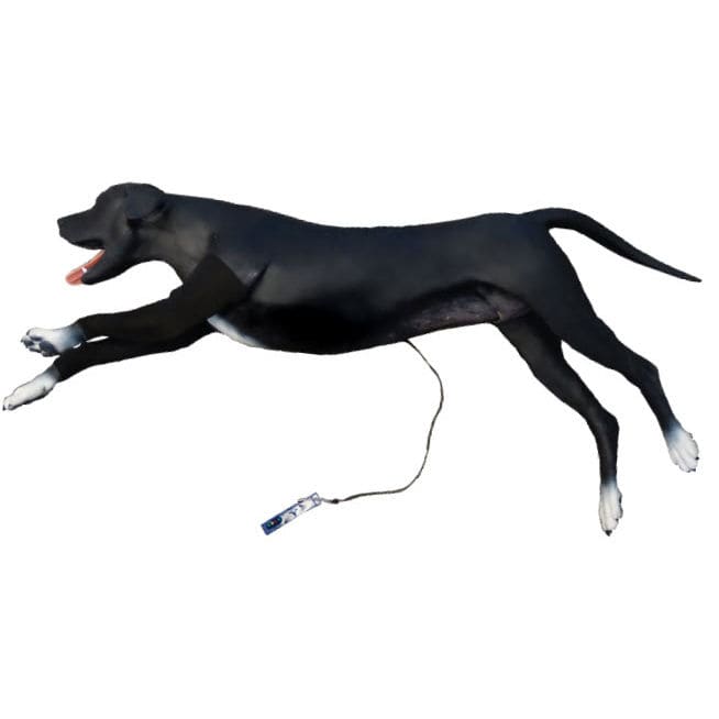 Basic life support simulator - Veterinary Simulator Industries ...