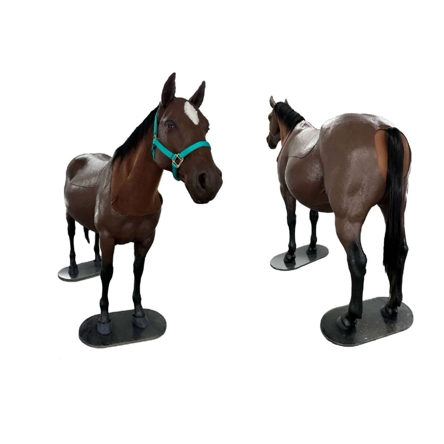 Palpation simulator - Veterinary Simulator Industries - intramuscular ...