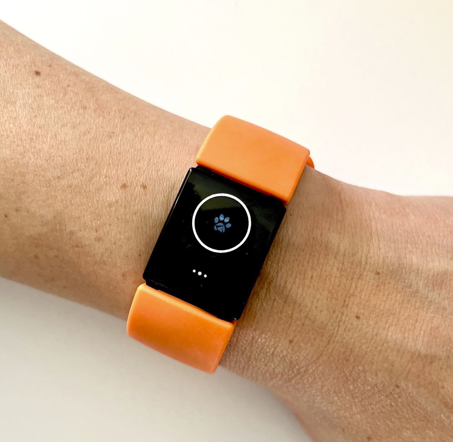 Wearable patient monitor - Rescue Critters - blood pressure / SpO2 ...