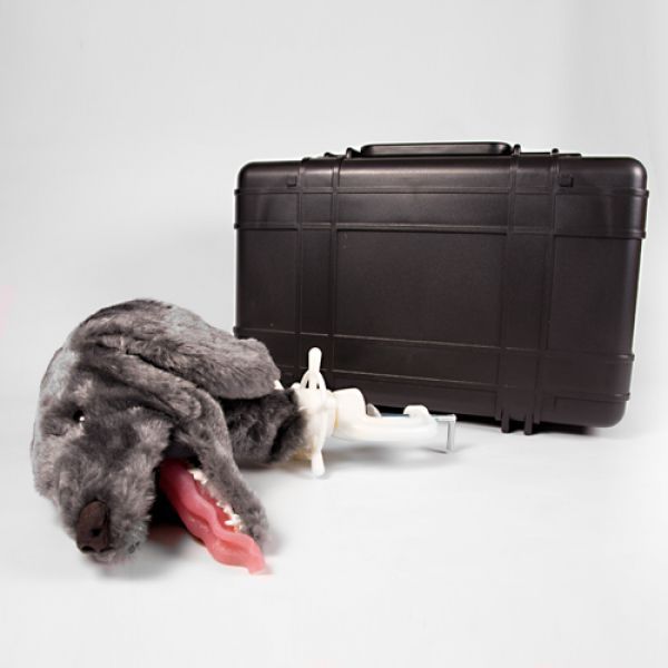 Intubation training manikin - Rescue Critters - dog / head