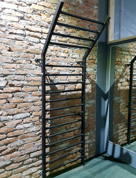 Rehabilitation wall bars - 221-Gladiator - Artimex Sport