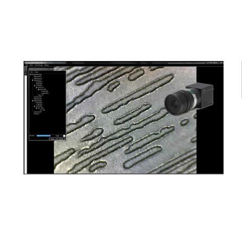 Image capture software - MiCam - Microptik BV - medical