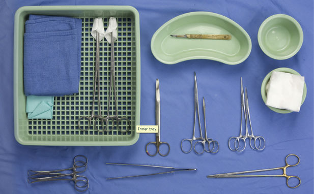 Minor surgery simulation module - SIMTICS - nursing care / web-based