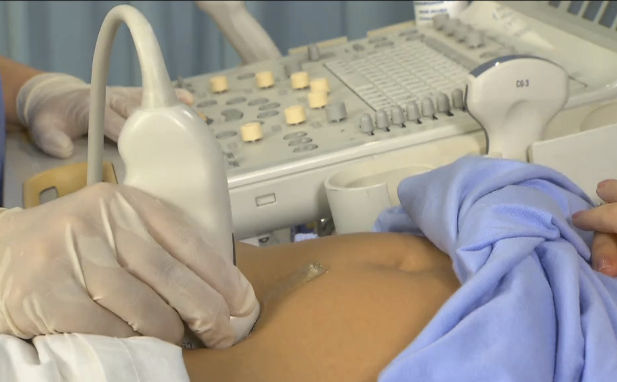 Ultrasound imaging simulation module - SIMTICS - anatomy / female / web ...