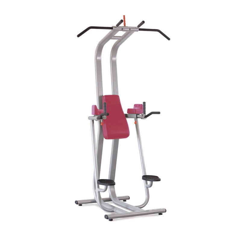 Leg raise chair with pull-up bar - FIT EVO 1FE211 - Panatta