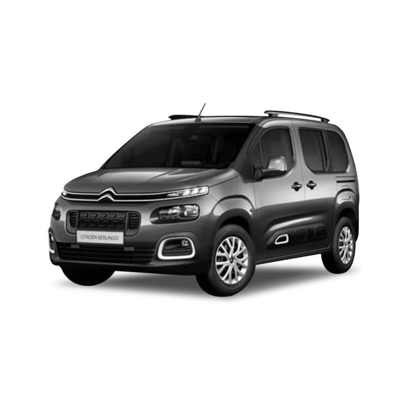 Minivan wheelchair accessible vehicle - Citroën Berlingo Flexi Ramp - Olmedo Special Vehicles ...