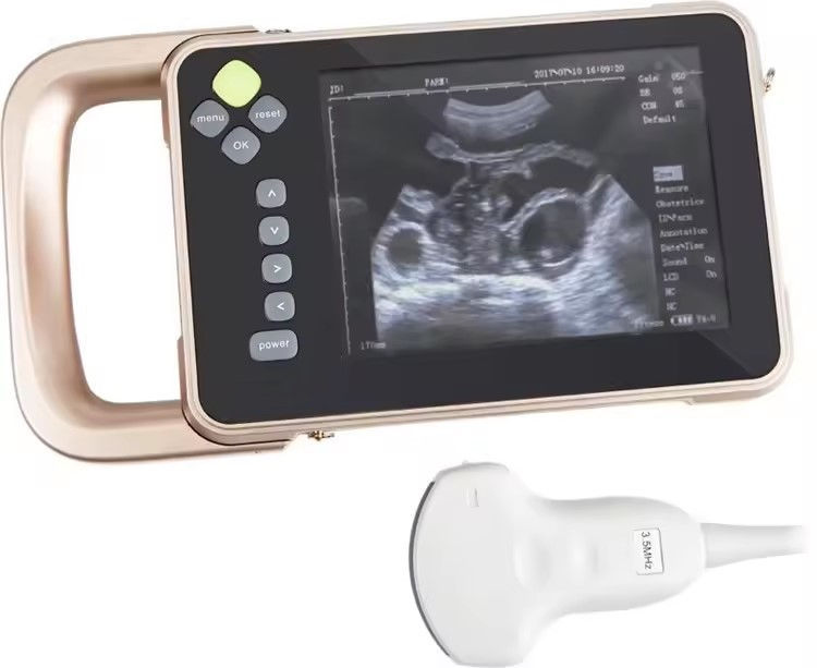 Hand-held veterinary ultrasound system - V5 - Promed Technology ...