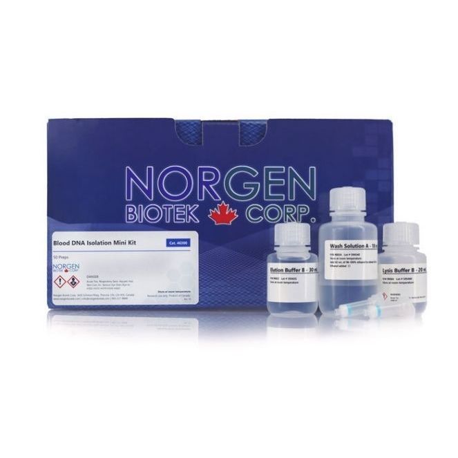 DNA quantification test kit - 46300 - Norgen Biotek - genomic DNA ...
