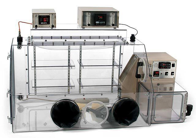Laboratory glove box - CoyLab - for animal research / for tissue ...