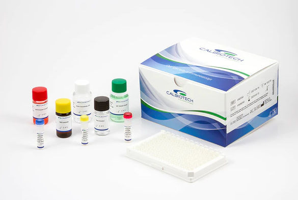 Solution reagent kit - PK346N - Calbiotech - for research / ELISA test