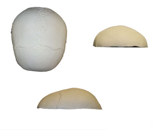 Ultrasound imaging test phantom - Pure Imaging Phantoms - head