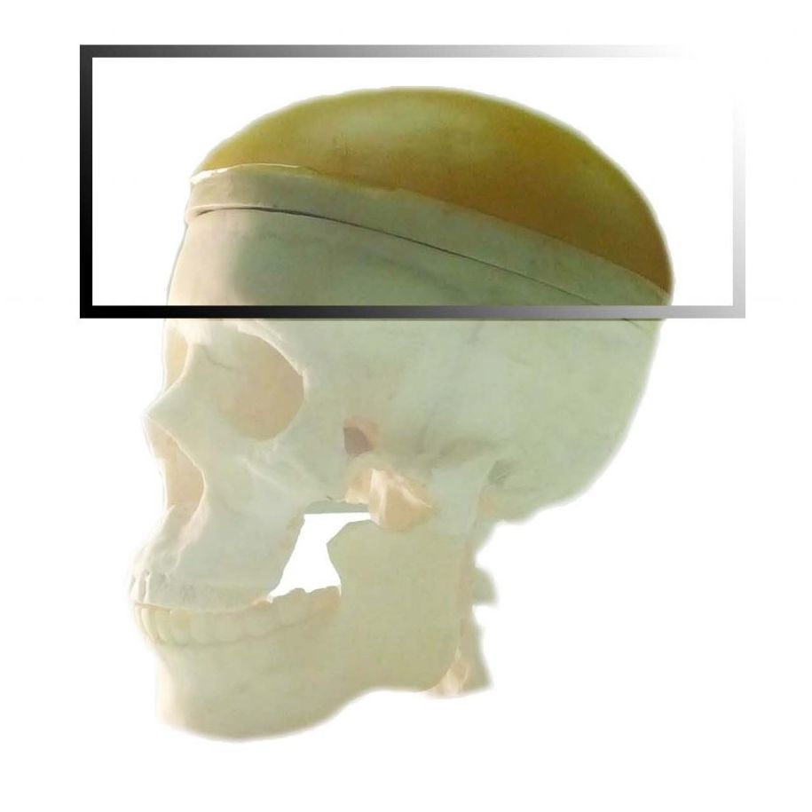 Ultrasound imaging test phantom - Pure Imaging Phantoms - for MRI / jaw