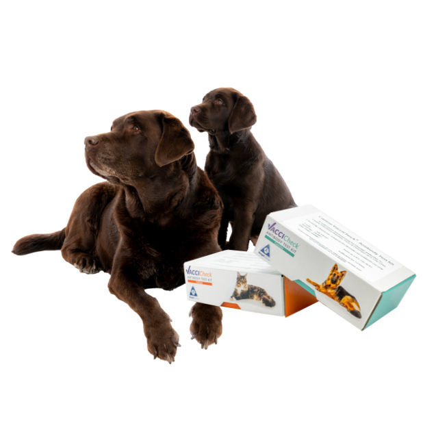 Veterinary test kit - VacciCheck - Biogal – Galed Laboratories - for ...