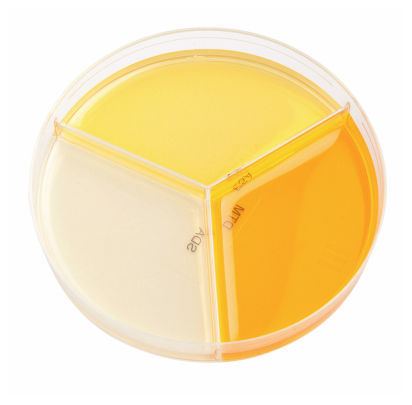 Veterinary laboratory reagent - MYKODERMOASSAY TRIO - MEGACOR ...