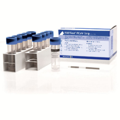 Rapid infectious disease test - FASTest® FCoV - MEGACOR Diagnostik ...