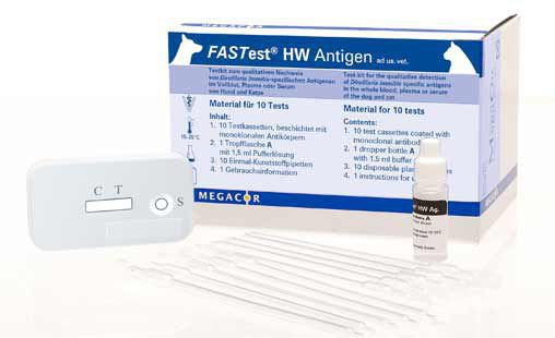 Rapid heartworm test - FASTest® HW - MEGACOR Diagnostik - for cats ...