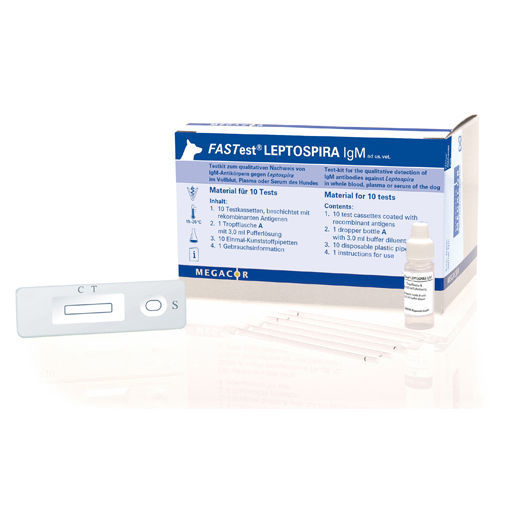 Rapid leptospirosis test - FASTest® LEPTOSPIRA - MEGACOR Diagnostik ...