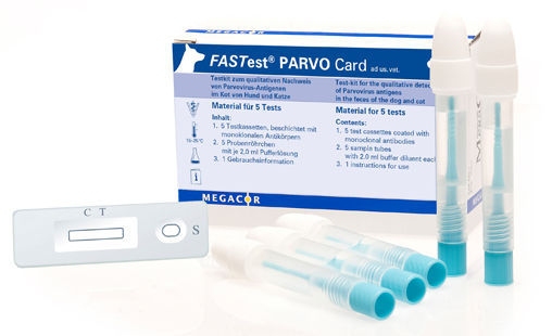 Rapid infectious disease test - FASTest® PARVO - MEGACOR Diagnostik ...