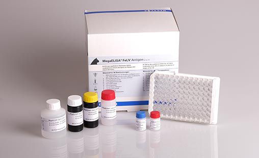 Feline leukemia test kit - MegaELISA® - MEGACOR Diagnostik - for ...
