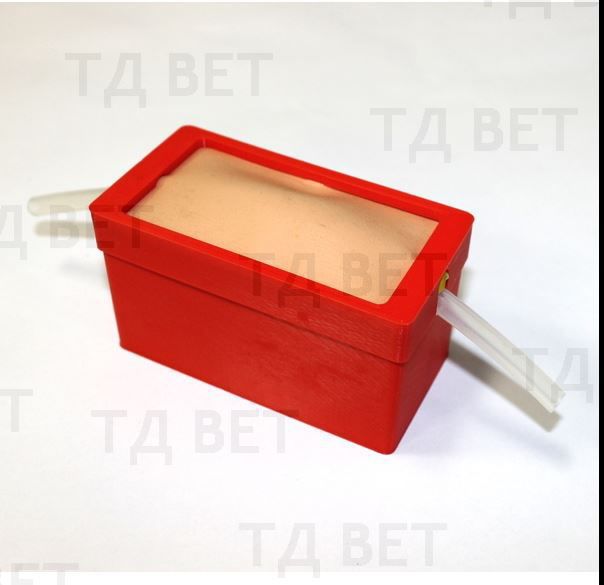 Catheterization simulator - Vetbot-02 - Vetbot - infusion / veterinary