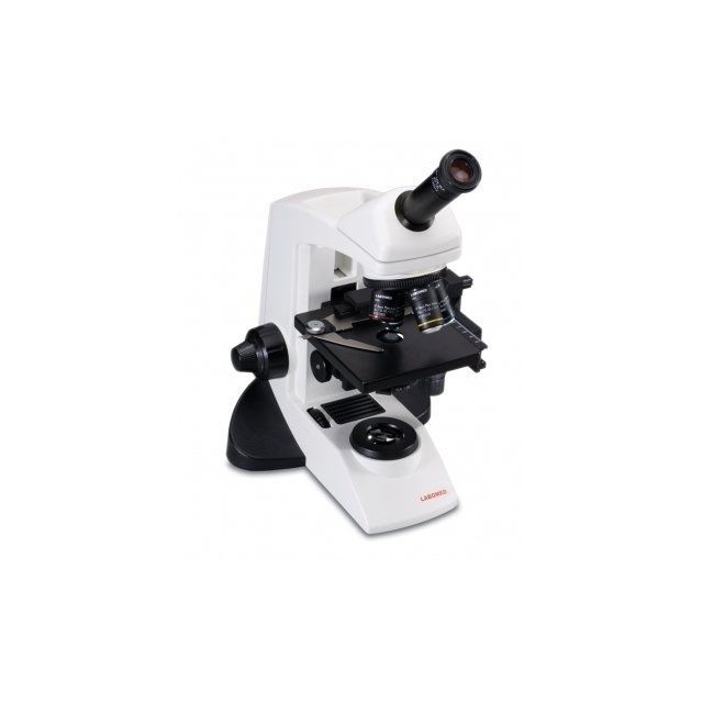 Optical microscope - CXL - Labomed Europe b.v. - laboratory / monocular ...