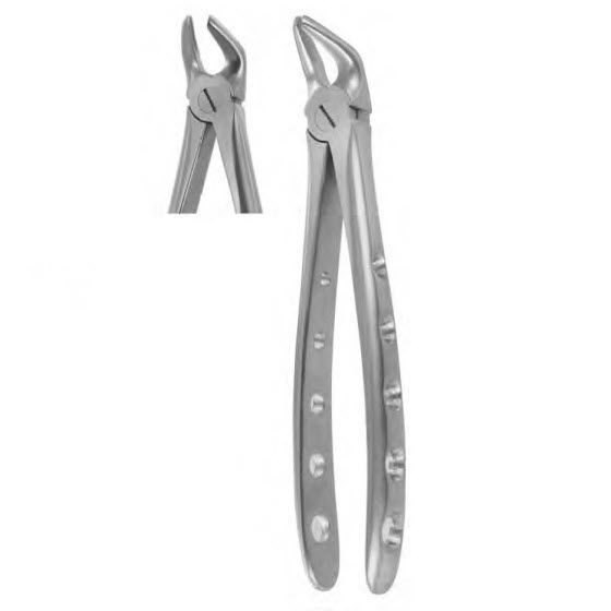 Premolar dental extraction forceps - 1002 - Thempson - English pattern