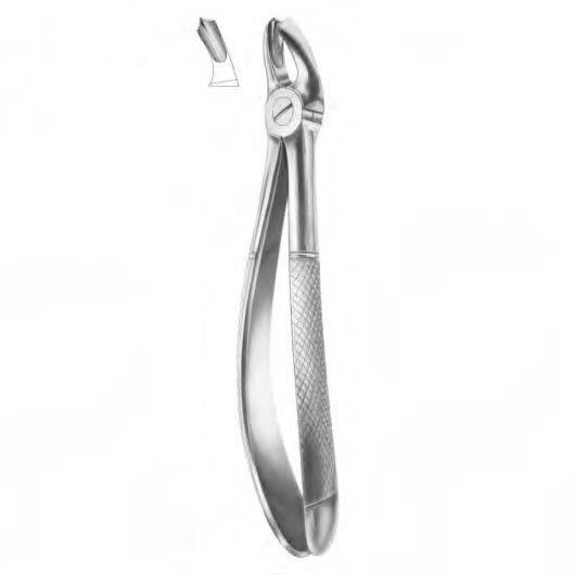 Molar dental extraction forceps - 1011 - Thempson - English pattern