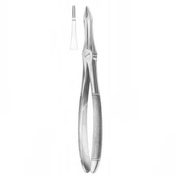 Tooth root extraction forceps - 1041 - Thempson - English pattern