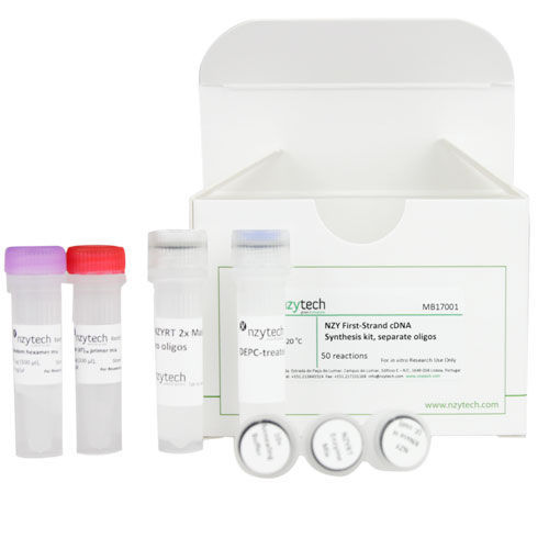 Reverse transcriptase reagent kit - MB170 - NZYTech - for cDNA ...