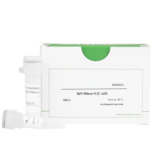 Enzyme reagent kit - MB085 - NZYTech - RNase inhibitor / for cDNA ...